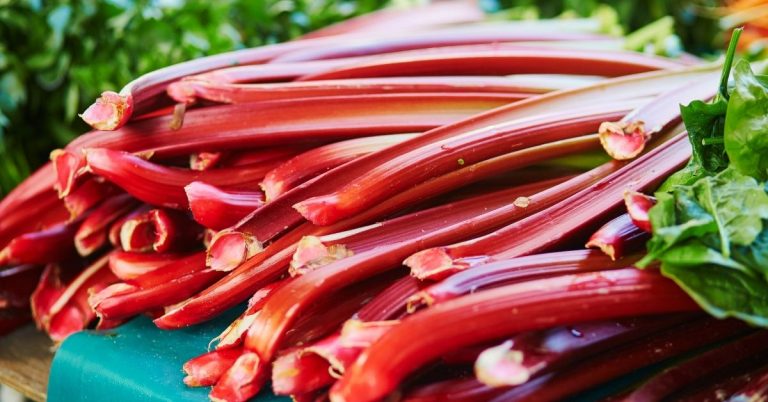 12 Pink Vegetables You Must Try!