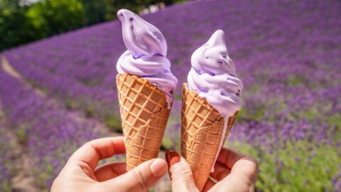 25 Awesome Desserts That Start With L [With Pictures]